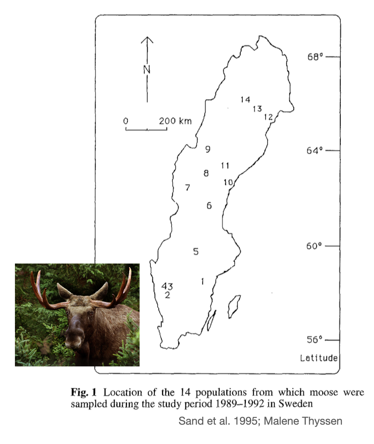 Data Skills Portfolio Program - Statistical Modelling: Communicating