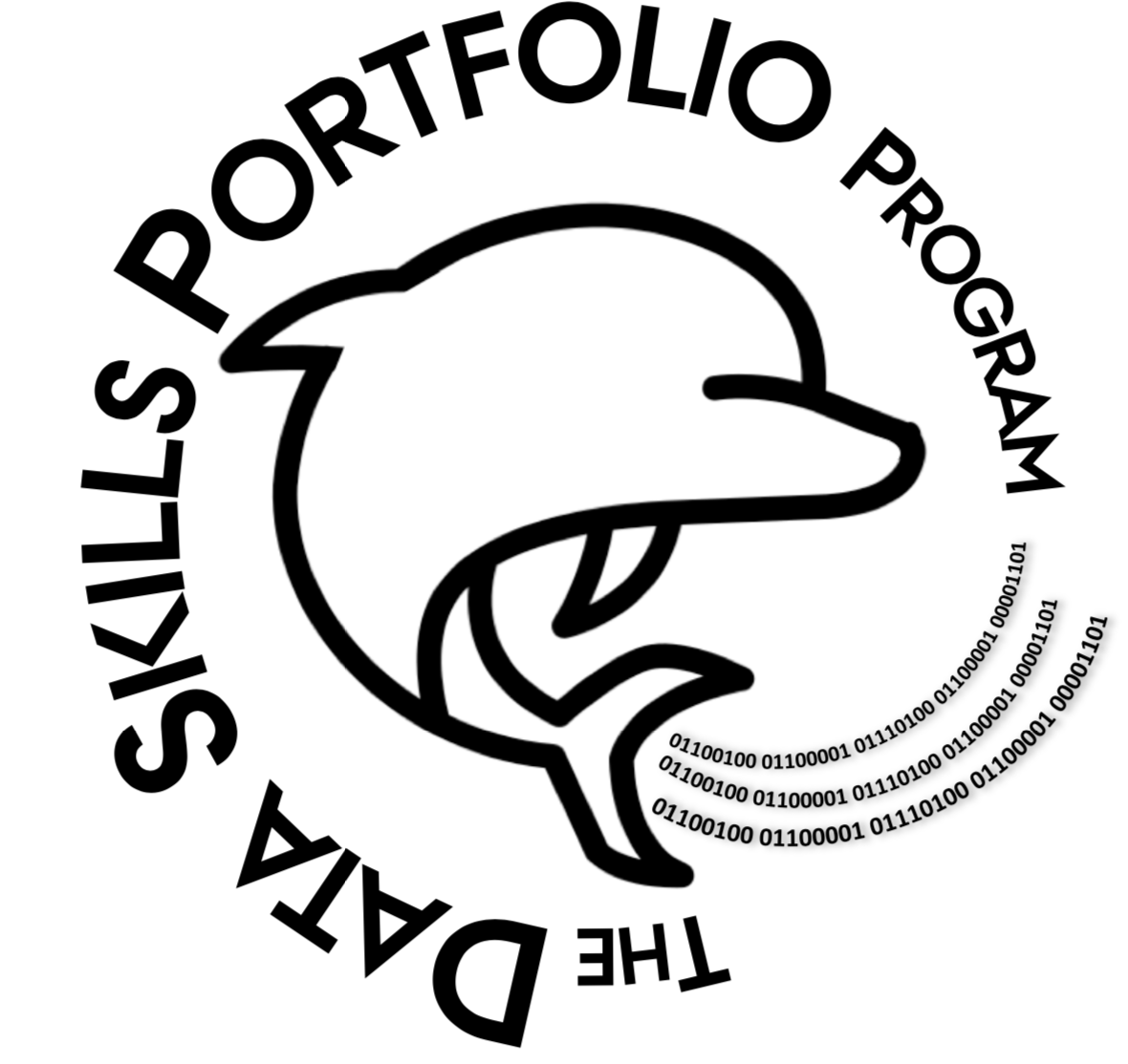 Data Skills Portfolio Program