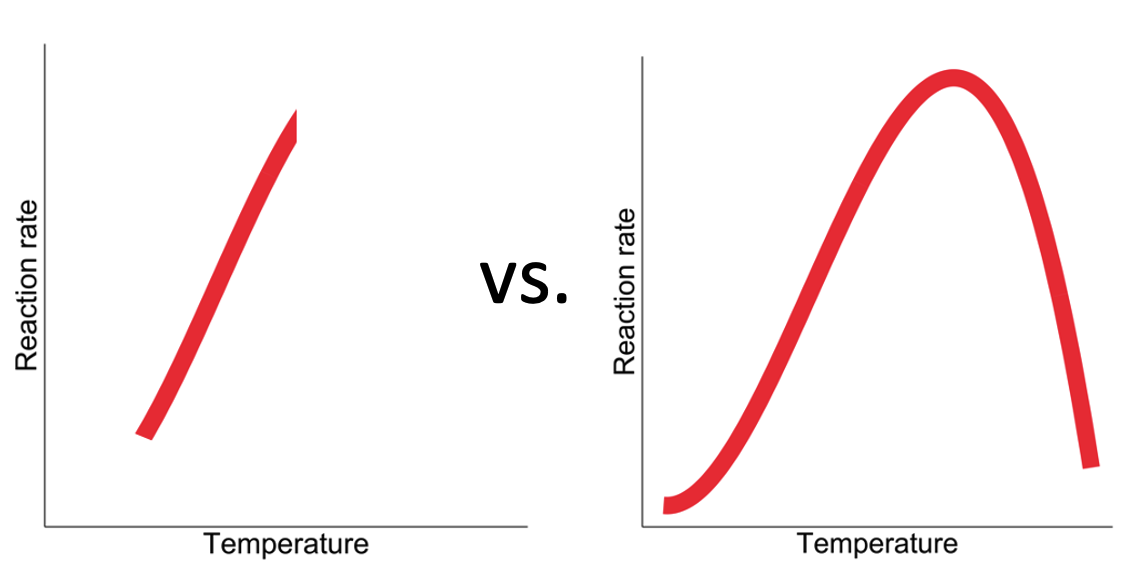 Data Skills Portfolio Program - Statistical Modelling: Predicting